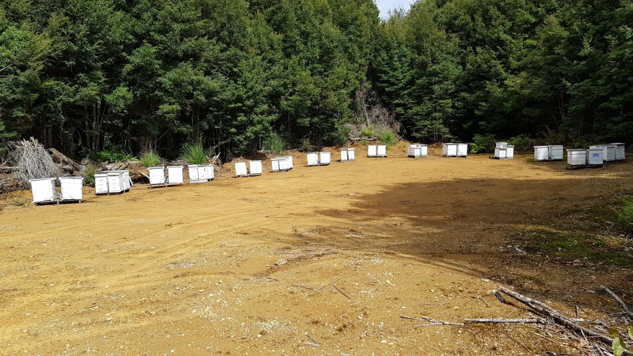 About – Paradise Gold Honey